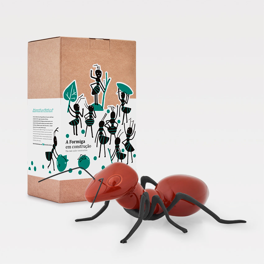A Formiga em construção – Laboratório d'Estórias